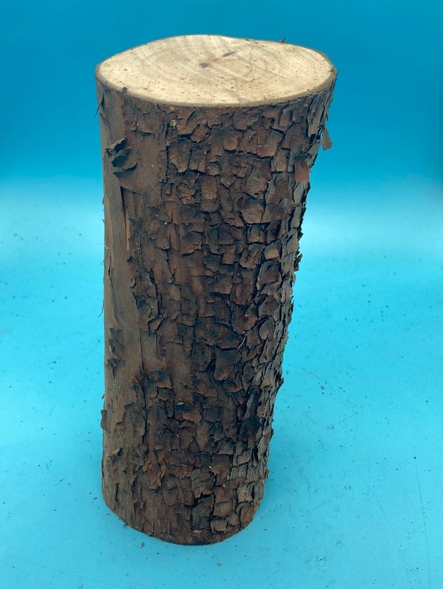 Madrone Log Md88 3.2" x 3.3" x 7.5" – The Wood Fairy
