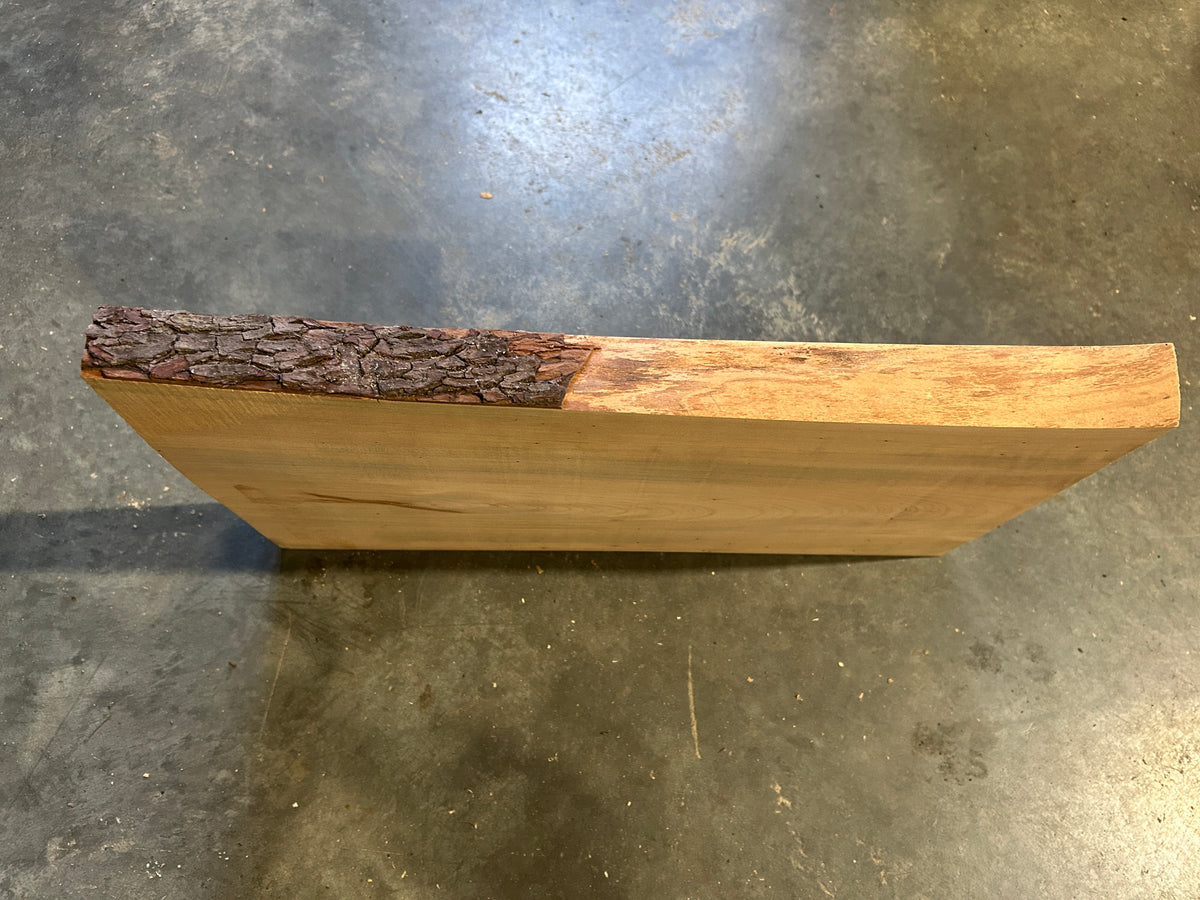 Madrone Slab Md127 1.6" x 12.2" x 20" – The Wood Fairy